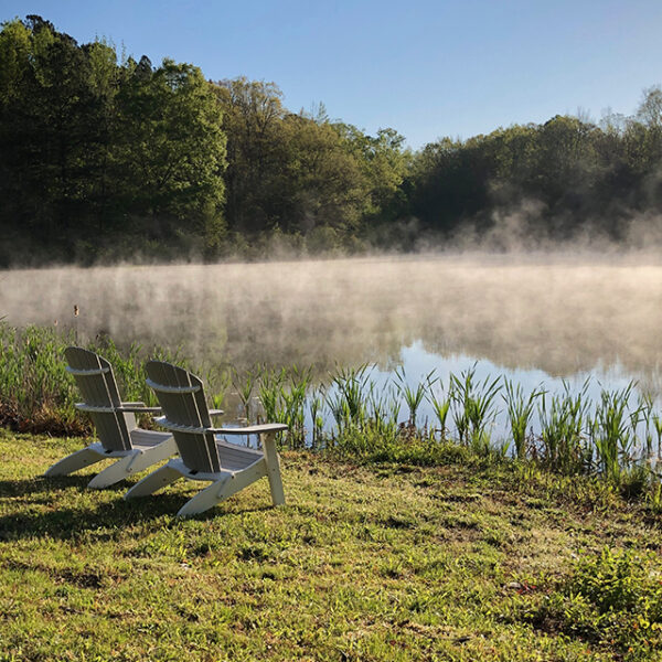 Stay Archive - The Best Part of Virginia